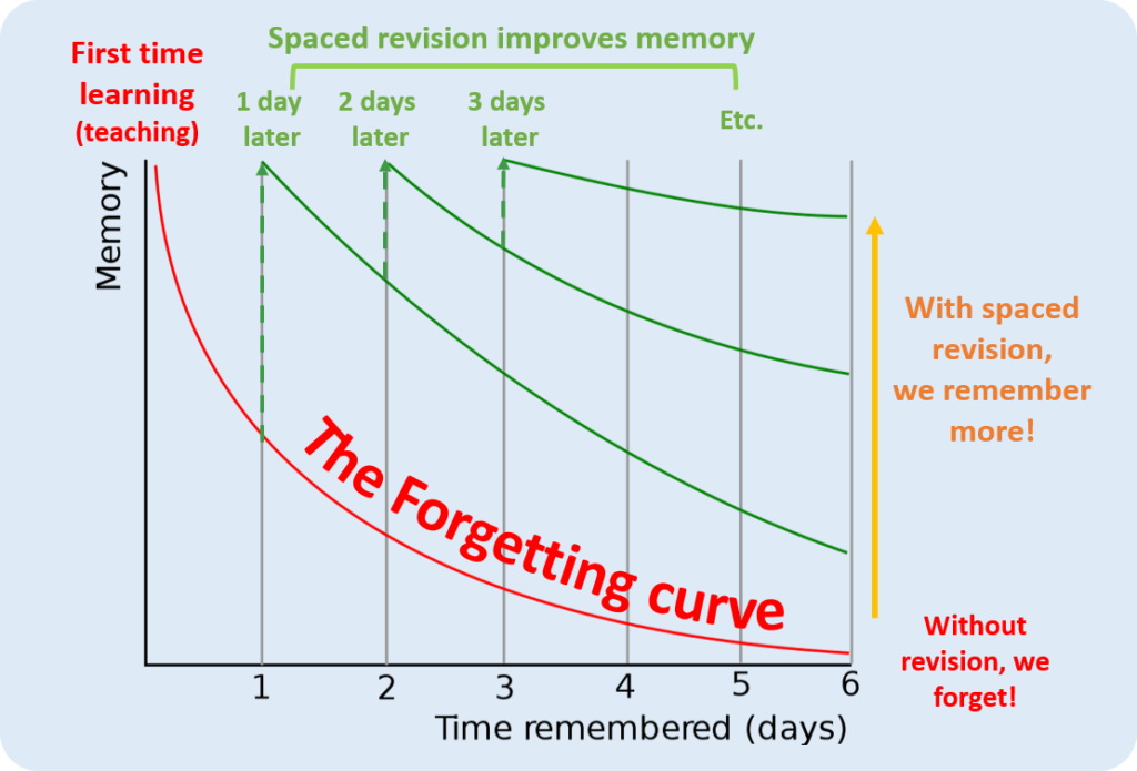 How to revise for A-level biology (and everything else)